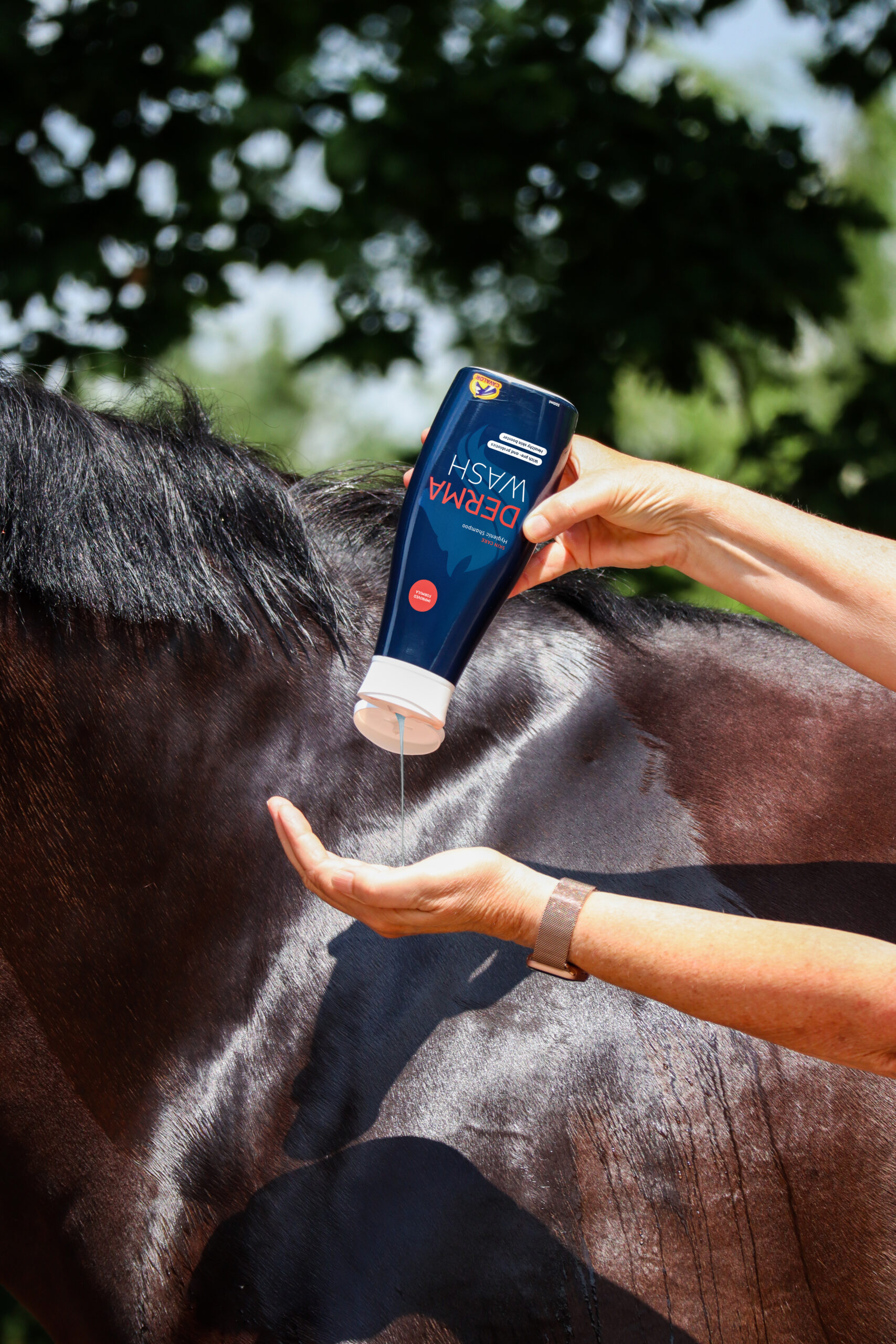 Derma Wash | Deep-cleaning Shampoo for Horses | Cavalor