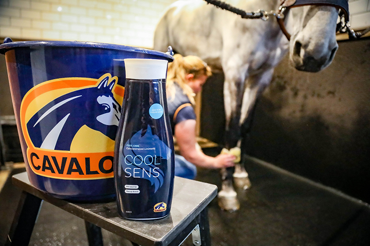 CoolSens | Cooling Lotion for Body, Muscles & Legs | Cavalor