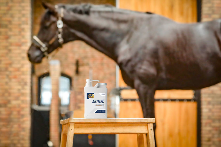 CAVALOR - Empower Your Ambition