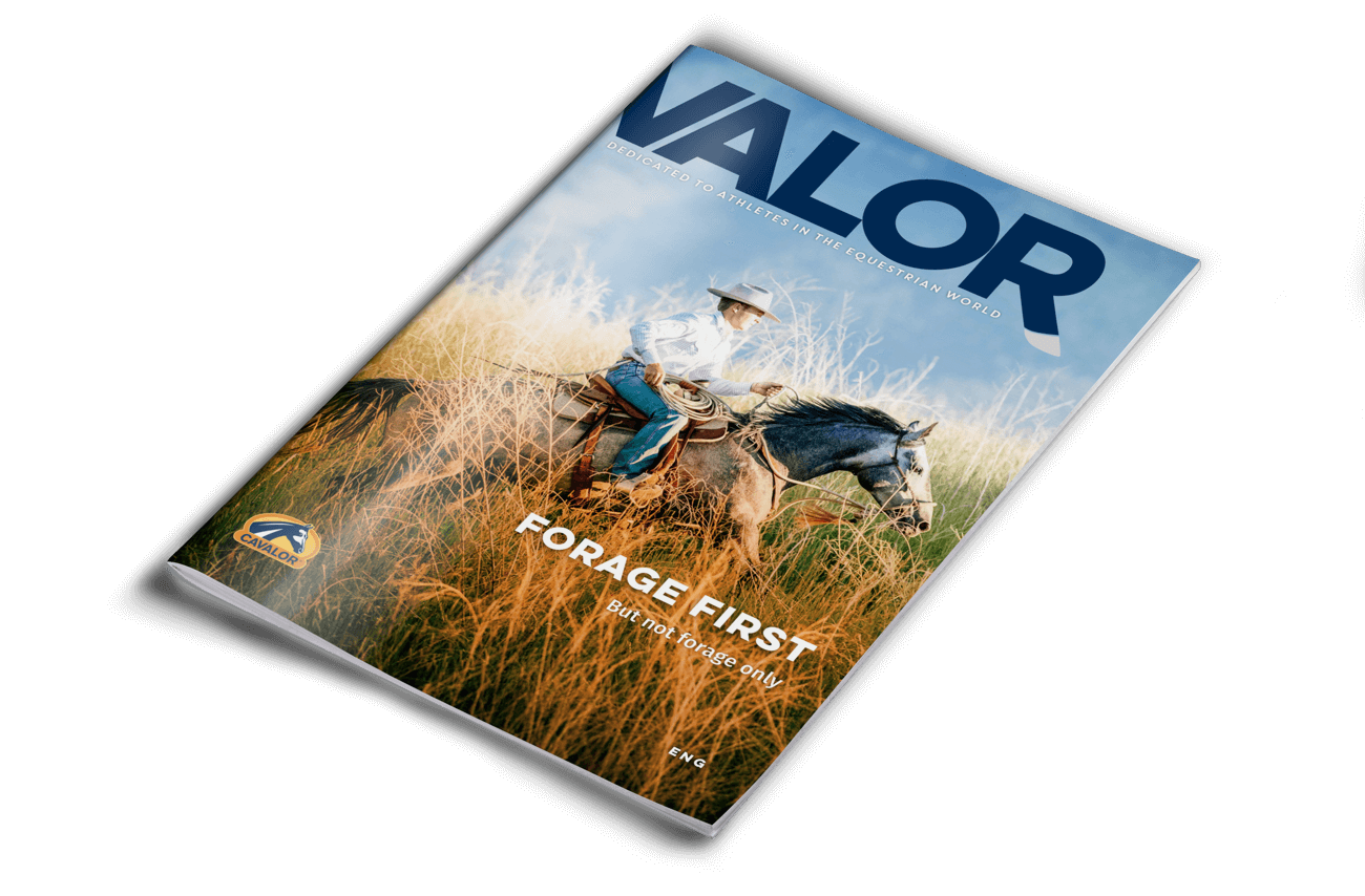Valor: Forage First | Cavalor