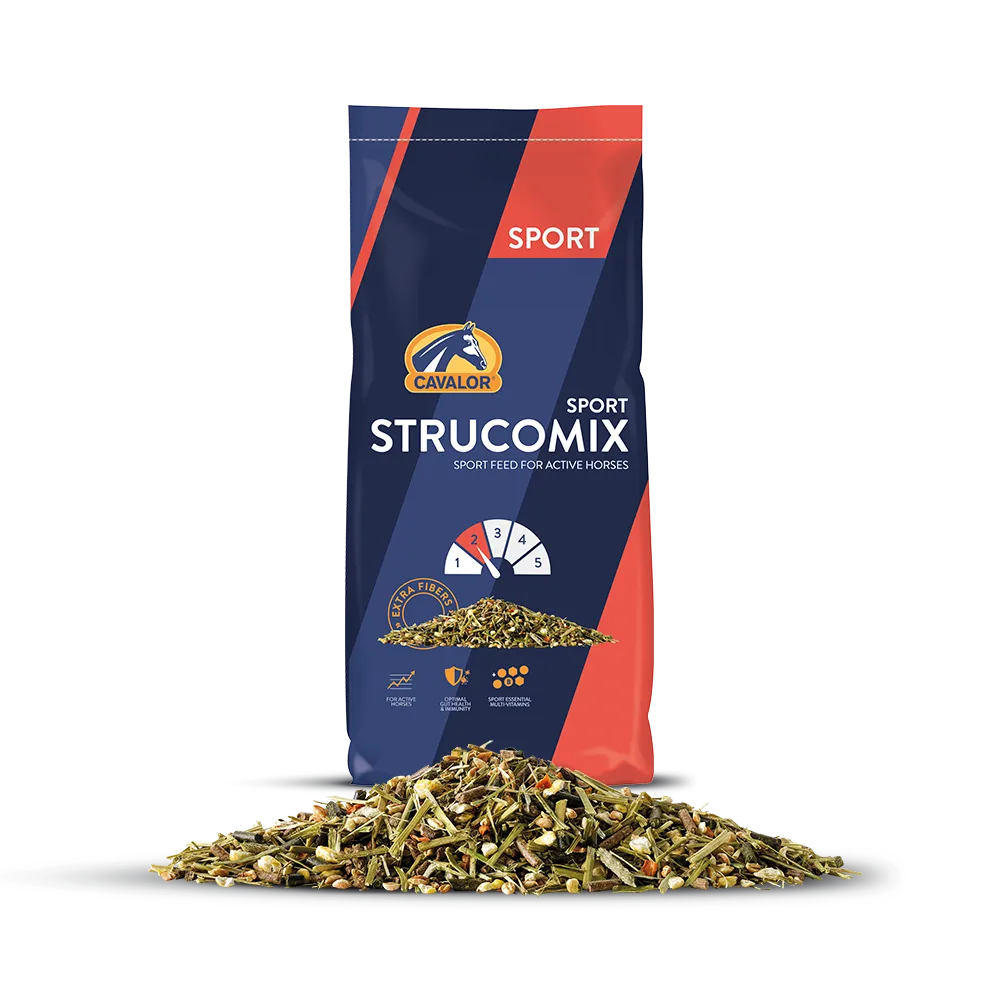 CAVALOR I Libère Ton Ambition