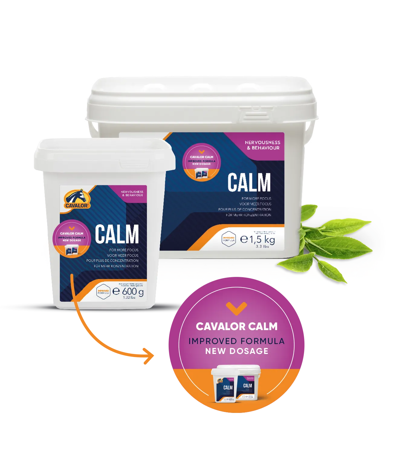 CAVALOR I Empower Your Ambition