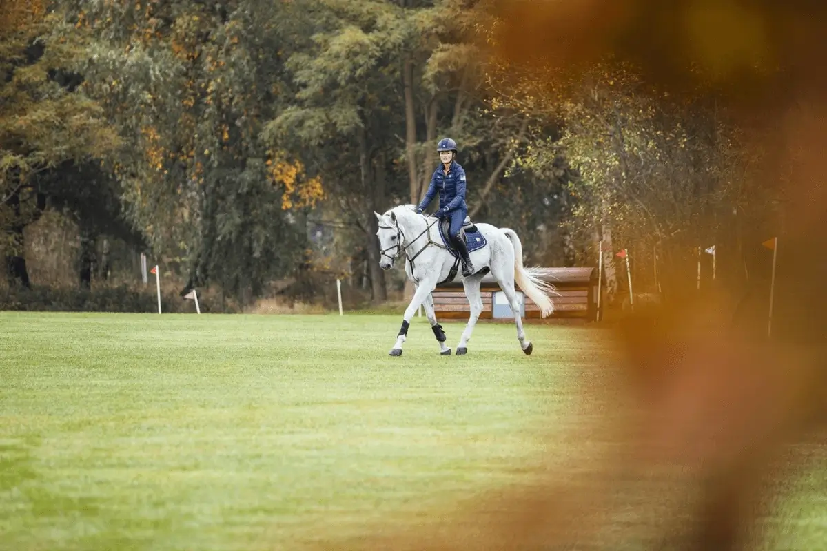 Preparing Your Sport Horse for the Season | Cavalor